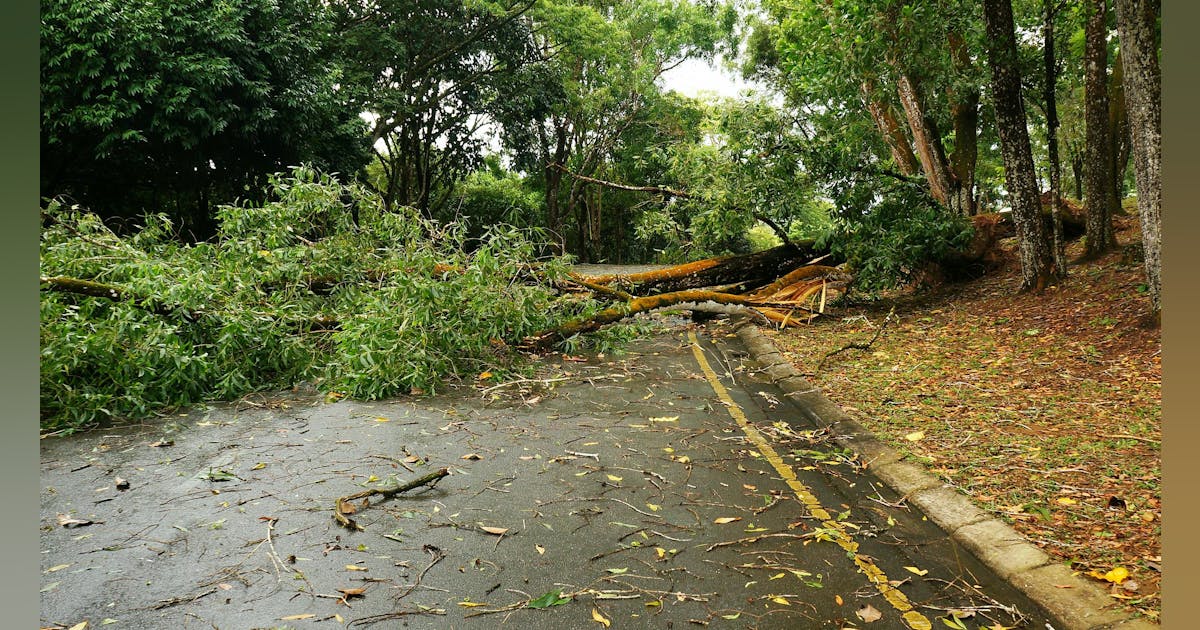 Kentucky and North Carolina Crews Reopen Hurricane Impacted Roads ... Kentucky and North Carolina Crews Reopen Hurricane Impacted Roads ...